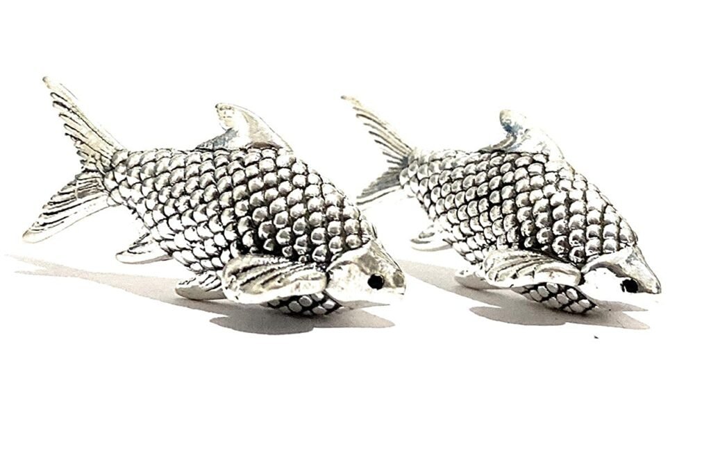 Silver Fish For Vastu – Dhruv's Collection